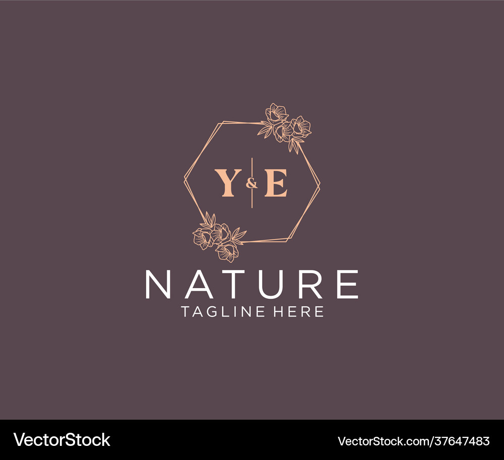 Initial ye letters floral frames botanical Vector Image