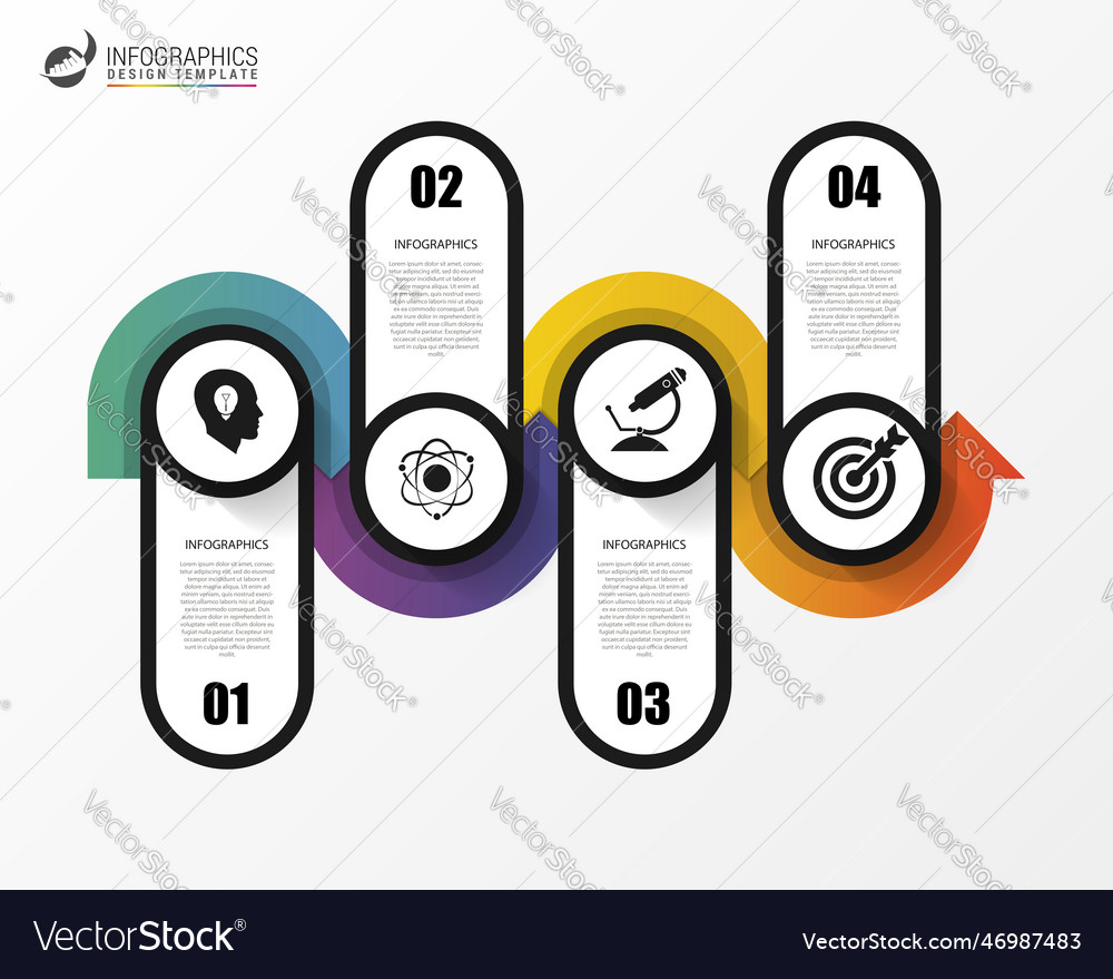 Timeline infographics template colorful modern Vector Image