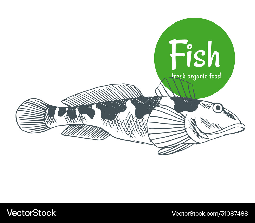Hand drawn fish and seafood products Royalty Free Vector