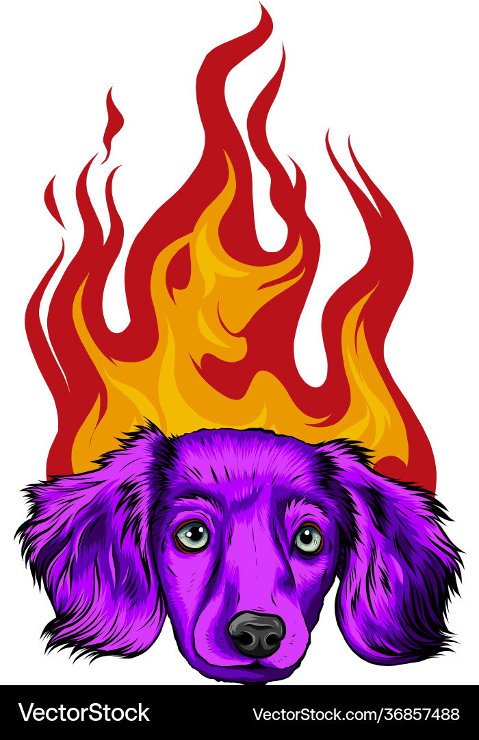Puppy dog with flame ornaments Royalty Free Vector Image