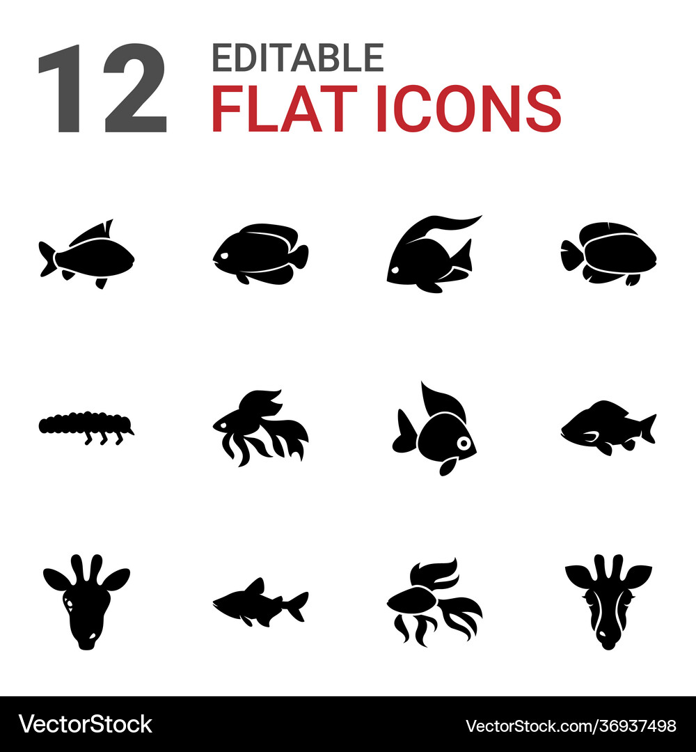 12 fauna icons Royalty Free Vector Image - VectorStock