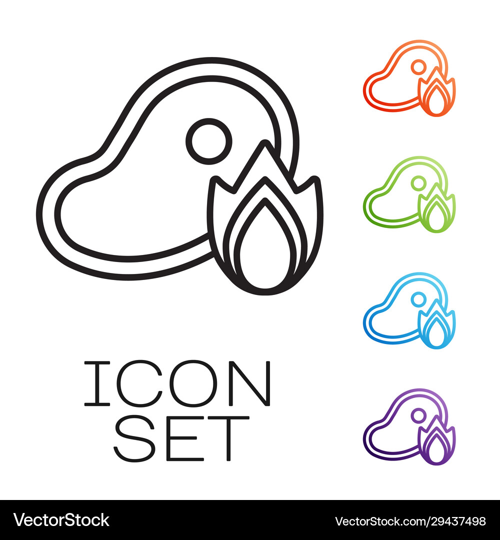 Black line grilled steak meat and fire flame icon Vector Image