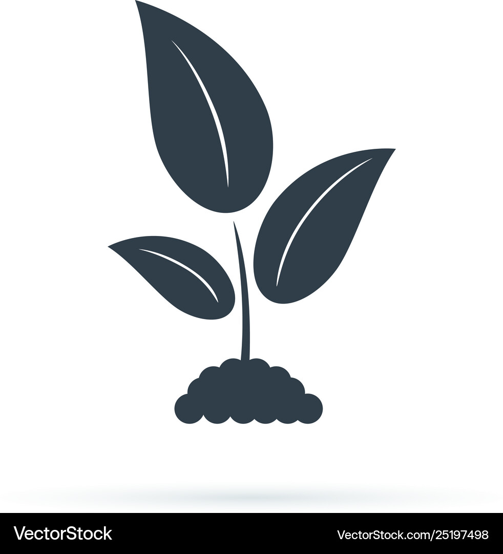 Plant Growth Icon Royalty Free Vector Image - VectorStock