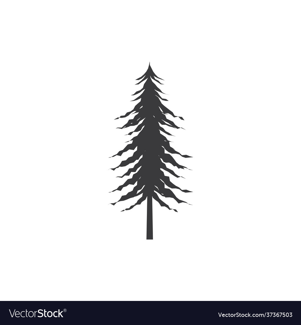 Cedar tree Royalty Free Vector Image - VectorStock