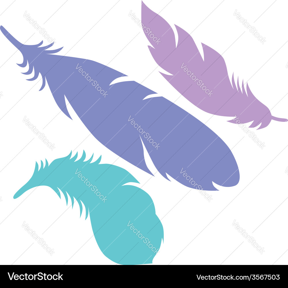 Feathers Royalty Free Vector Image - VectorStock