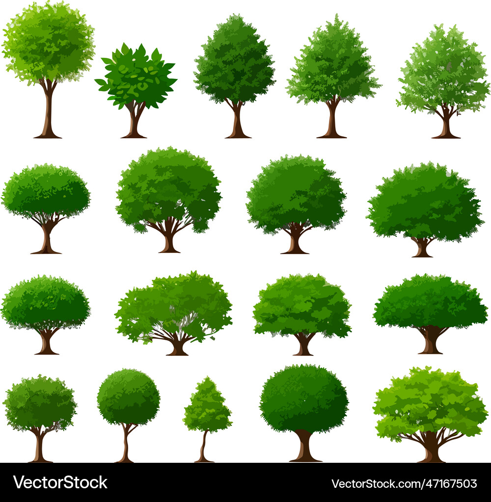 Gorgeous forest trees bushes plants art Royalty Free Vector