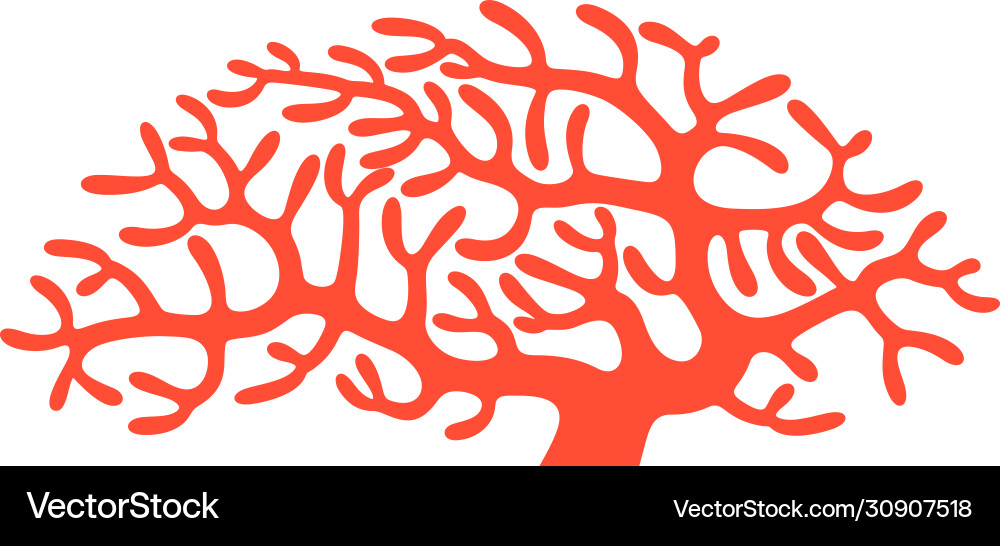 Coral Royalty Free Vector Image - VectorStock