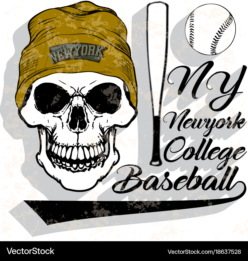 Baseball logo skull fashion Royalty Free Vector Image