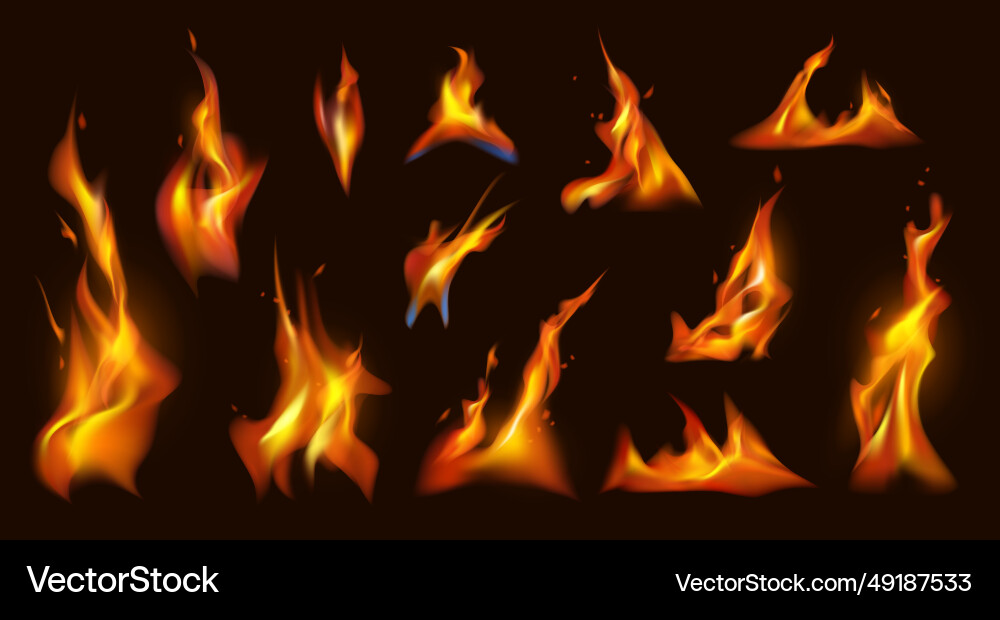 Flames and fire burning flare heat Royalty Free Vector Image