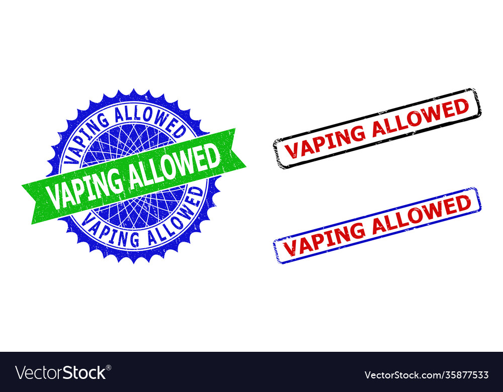 Vaping allowed rosette and rectangle bicolor Vector Image