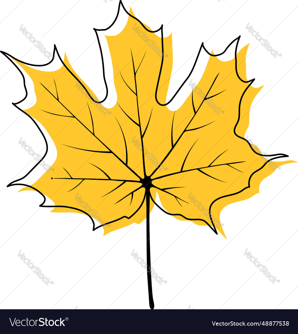 Autumn maple leaf Royalty Free Vector Image - VectorStock