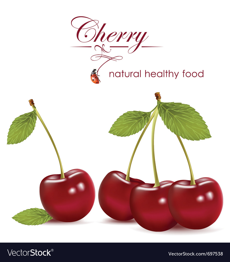 Cherry Royalty Free Vector Image - VectorStock