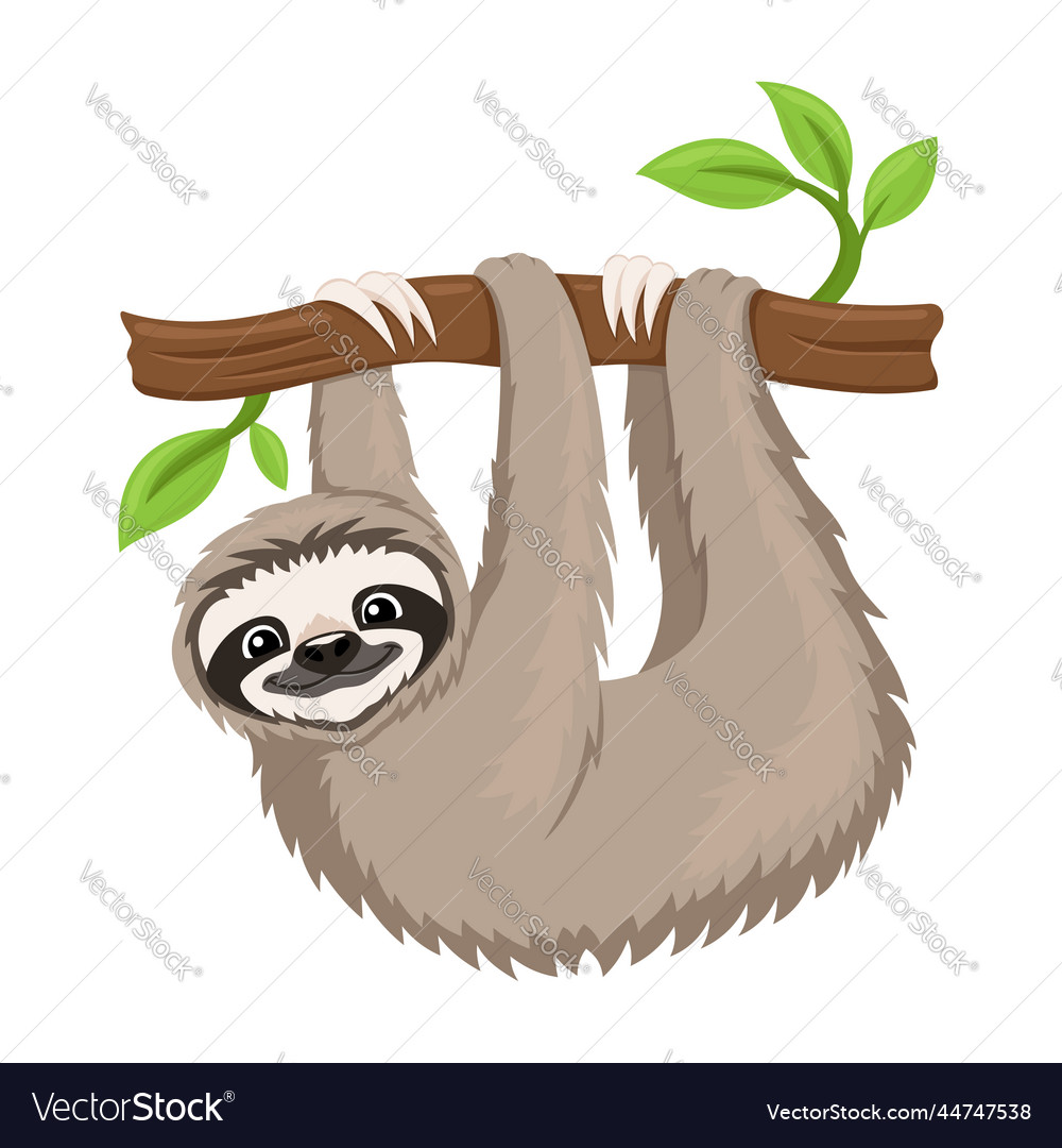 Cute animal sloth on a tree branch Royalty Free Vector Image