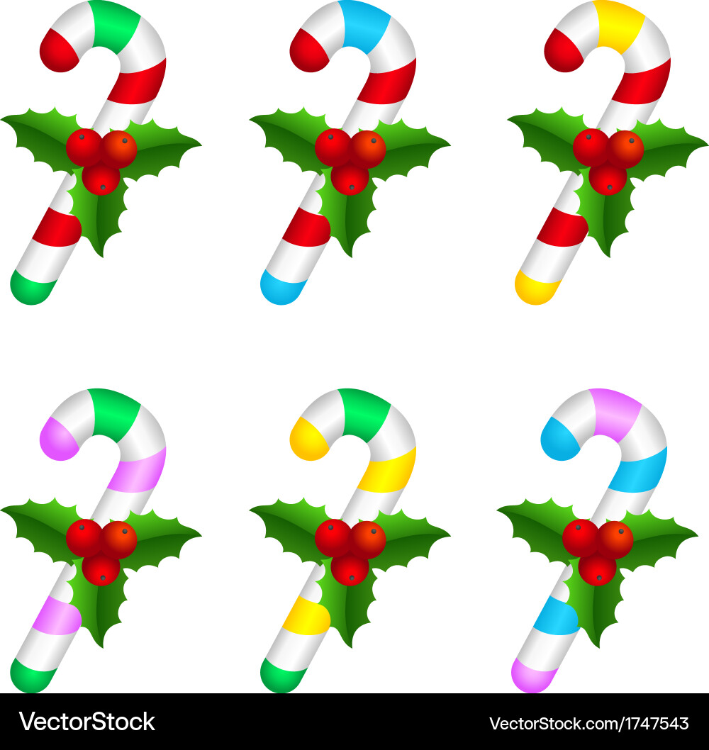 Colourful candy canes with holly berry Royalty Free Vector