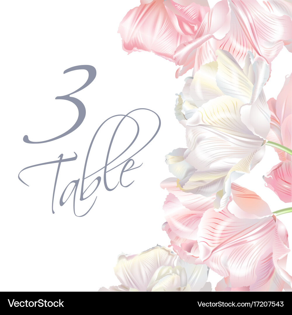 Tulip number card pink Royalty Free Vector Image