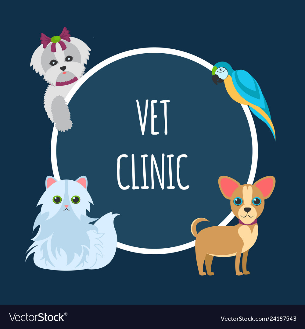 Vet clinic lettering poster color template Vector Image