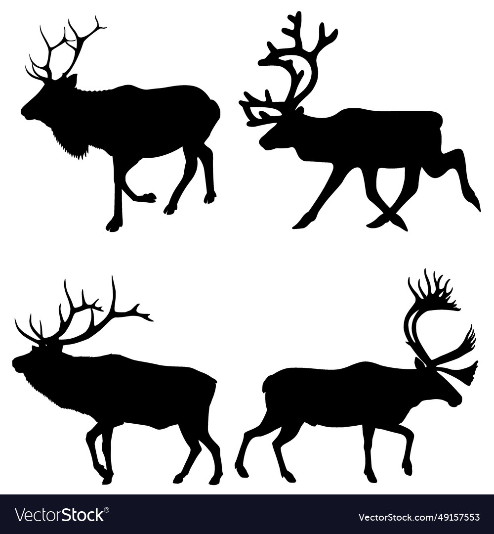 Moose Royalty Free Vector Image - VectorStock