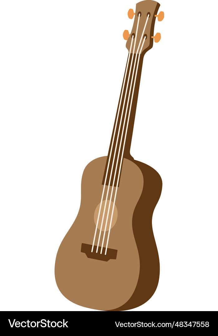 Acoustic guitar string instrument musical Vector Image