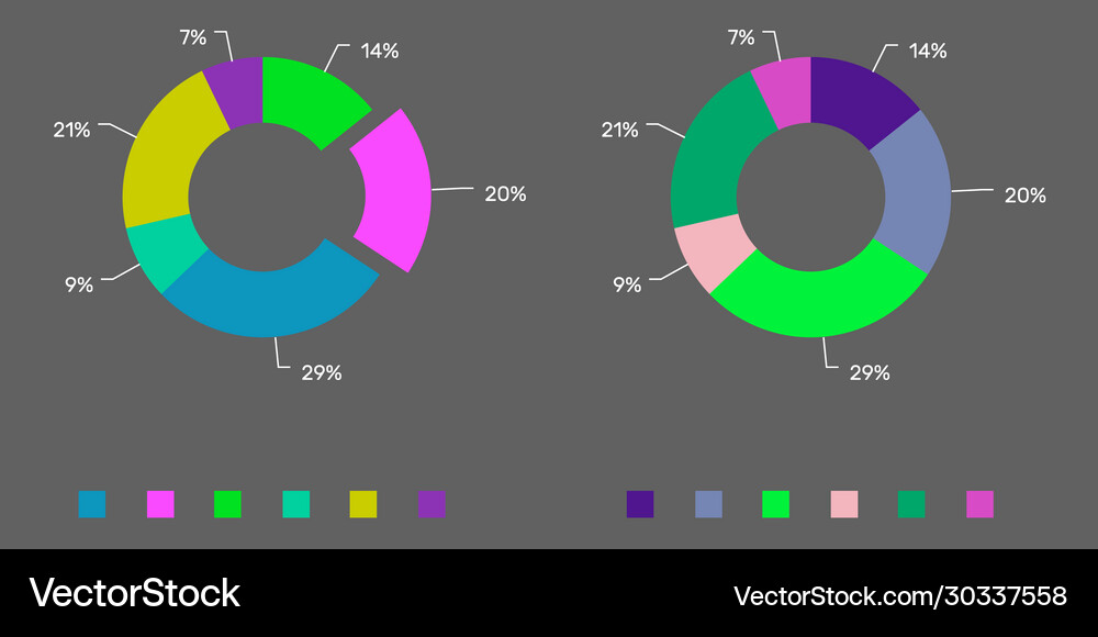 Donut chart isolated on gray background colorful Vector Image