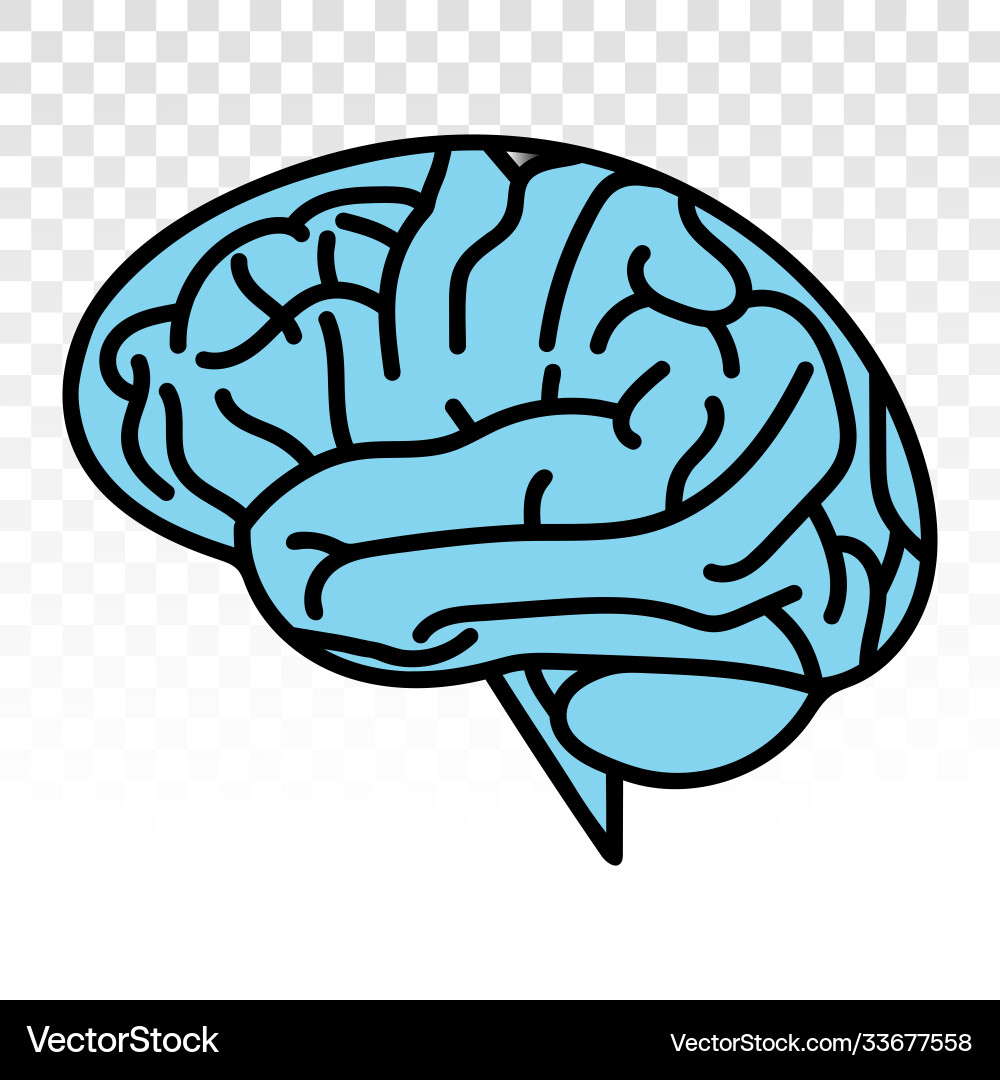 Human brain or mind side view line art icon on a Vector Image