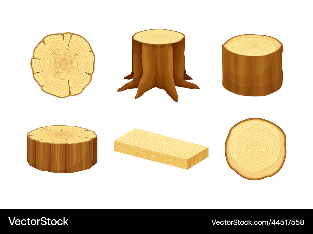 Set of hardwood timber materials tree trunks Vector Image
