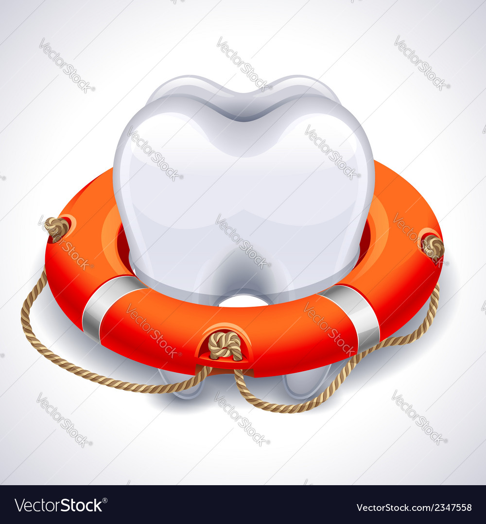 Tooth Royalty Free Vector Image - VectorStock