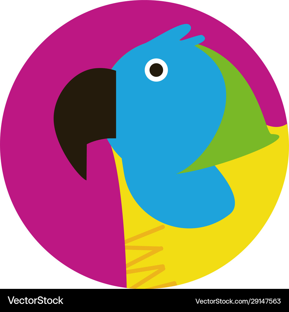 Isolated garota from brazil design Royalty Free Vector Image