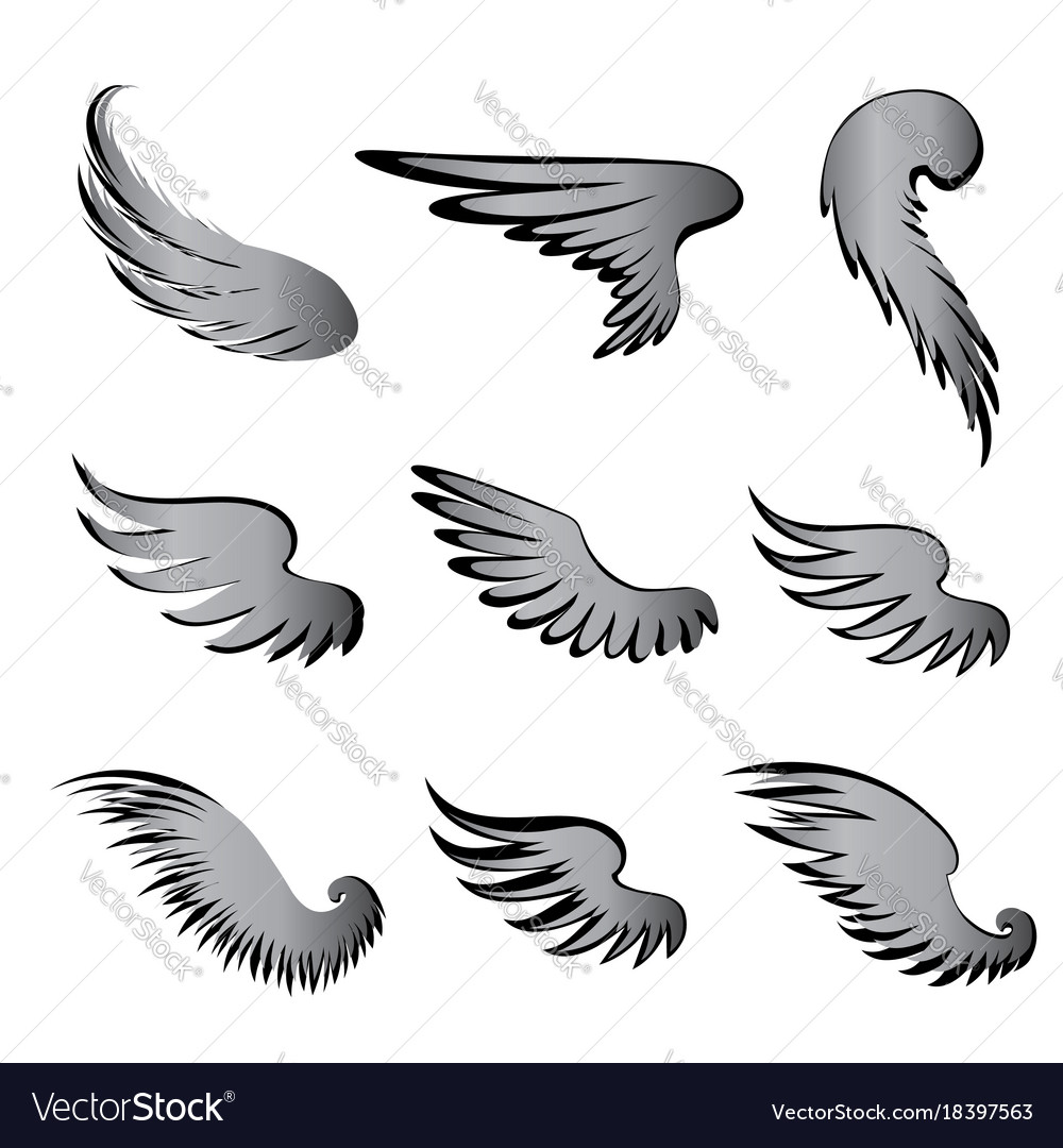 Wings set Royalty Free Vector Image - VectorStock