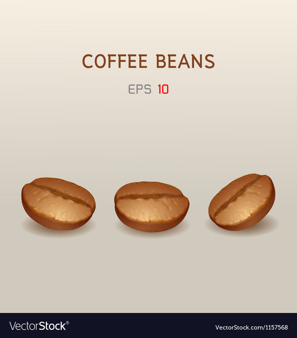 Coffee beans Royalty Free Vector Image - VectorStock
