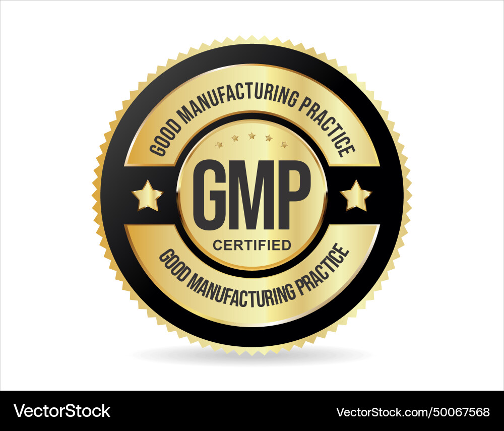 Gmp good manufacturing practice certified gold Vector Image