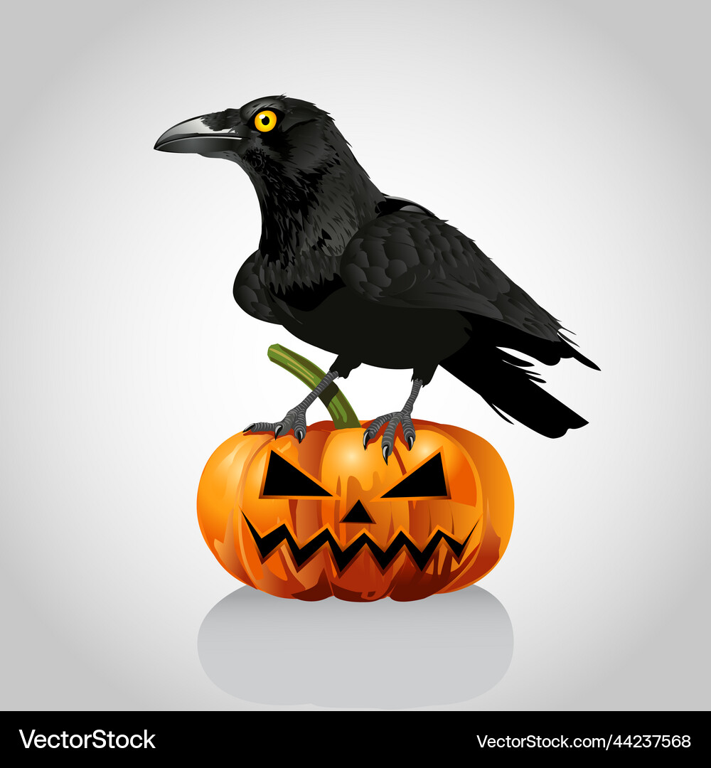 Hand drawn halloween crow and pumpkin Royalty Free Vector