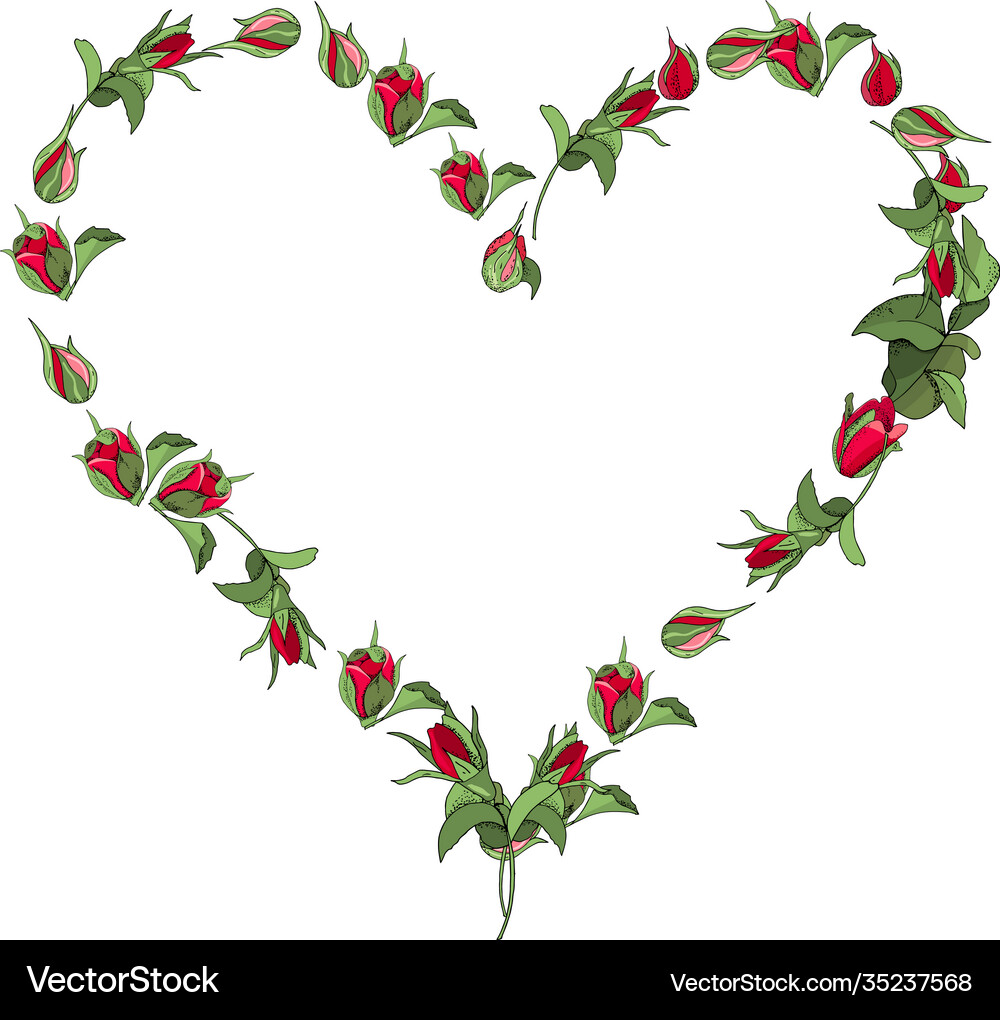 Heart frame red roses flowers isolated Royalty Free Vector