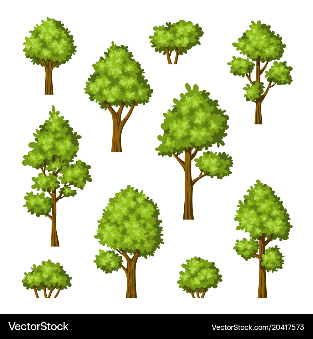 Collection of different trees and bushes Vector Image