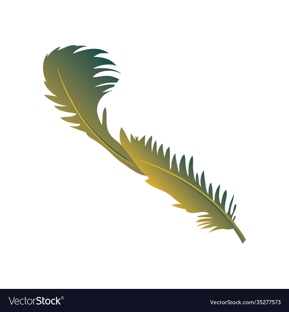 Feather texture decoration nature icon Royalty Free Vector