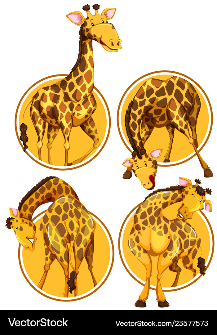 Set of giraffe circle banner Royalty Free Vector Image