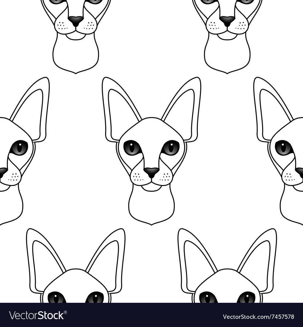 Cat seamless pattern Royalty Free Vector Image