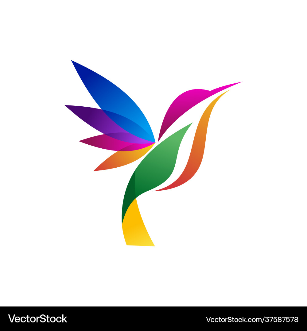 Colorful hummingbird logo Royalty Free Vector Image