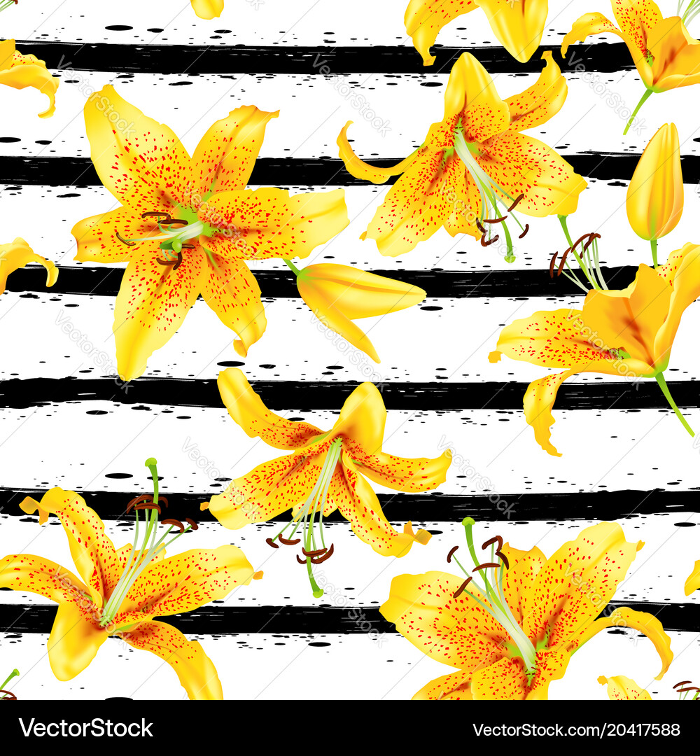 Background with yellow lily flowers Royalty Free Vector