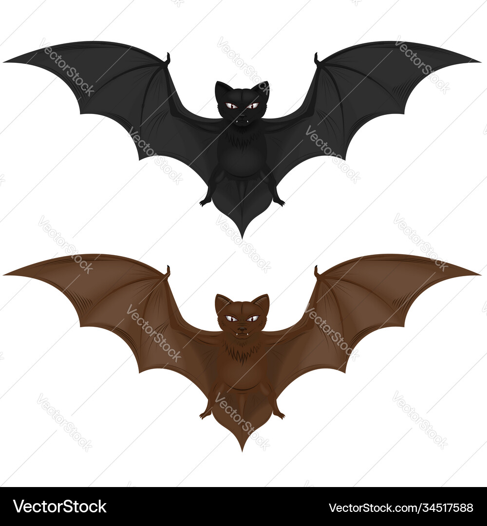 Design two flying mammals bat in colors Royalty Free Vector