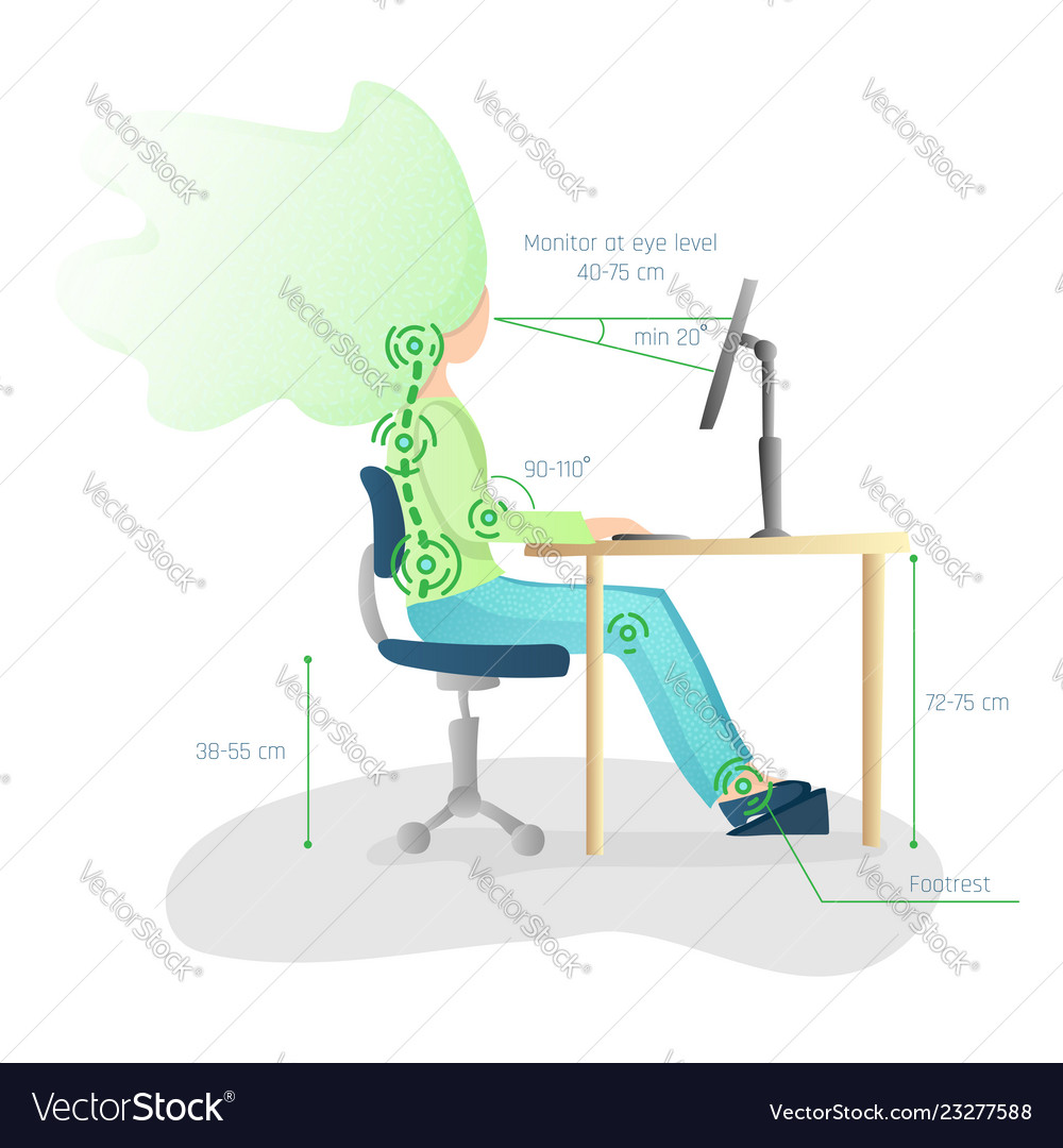 Ergonomic Healthy Correct Sitting Spine Posture Vector Image