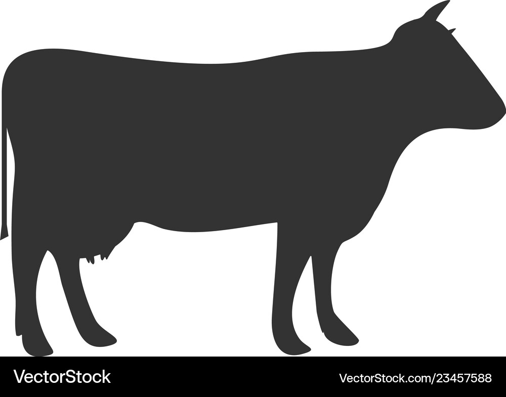 Flat Cow Icon Royalty Free Vector Image - VectorStock