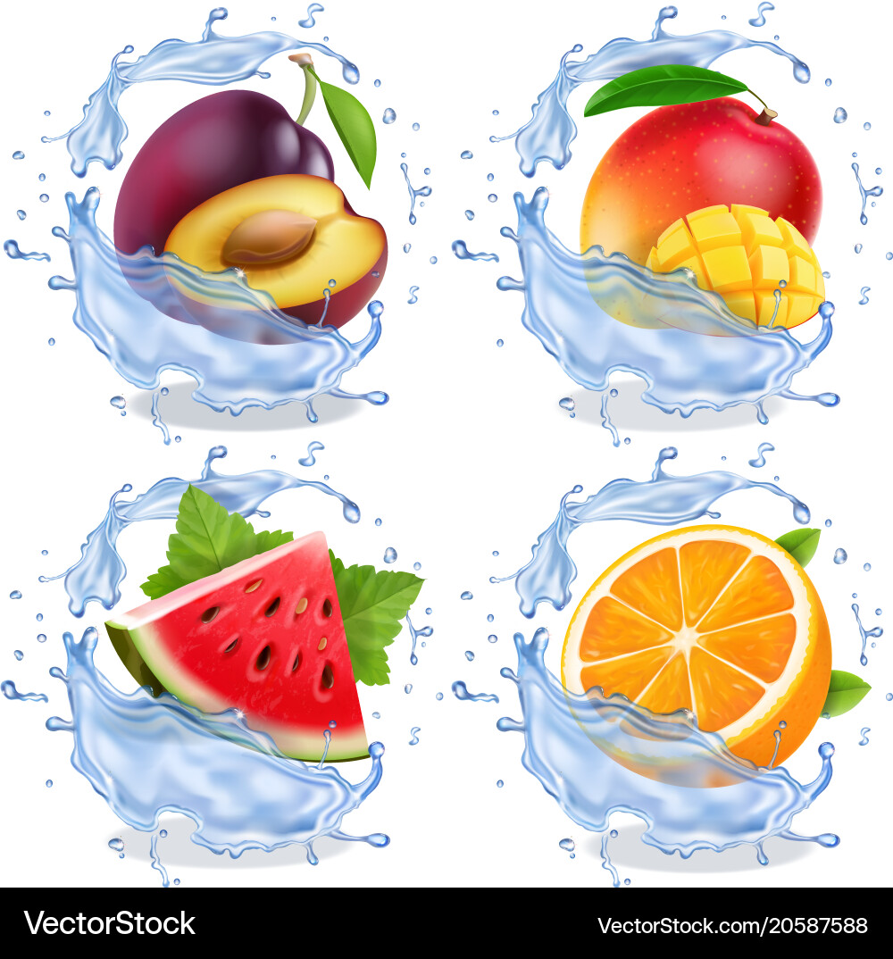 Mango watermelon orange plum in water splash Vector Image