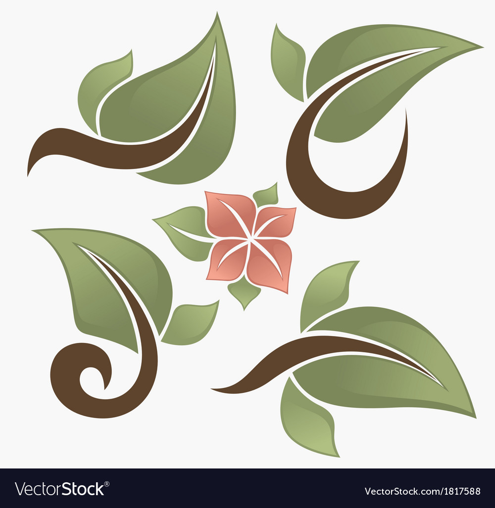 Spring leaves Royalty Free Vector Image - VectorStock