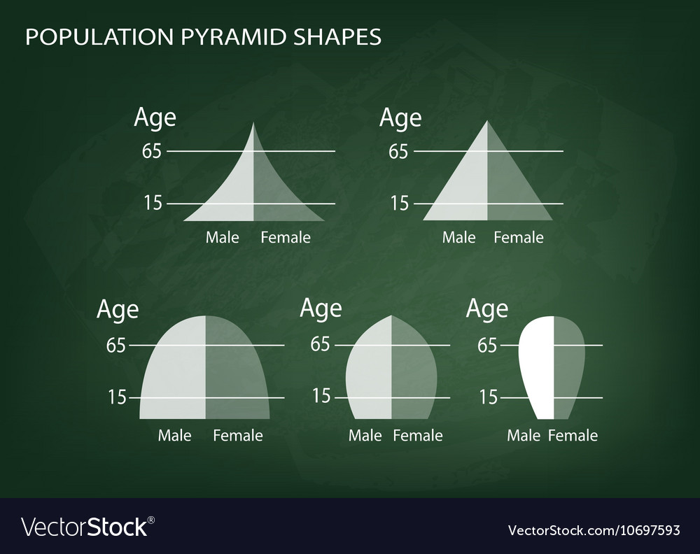 Different types of population pyramids Royalty Free Vector