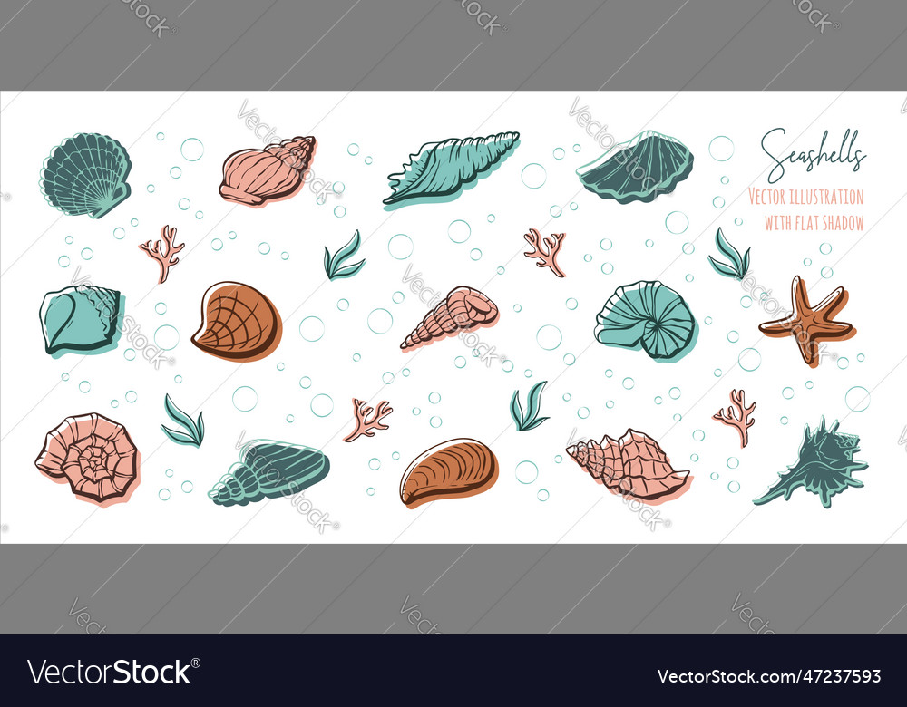 Seashells Royalty Free Vector Image - VectorStock