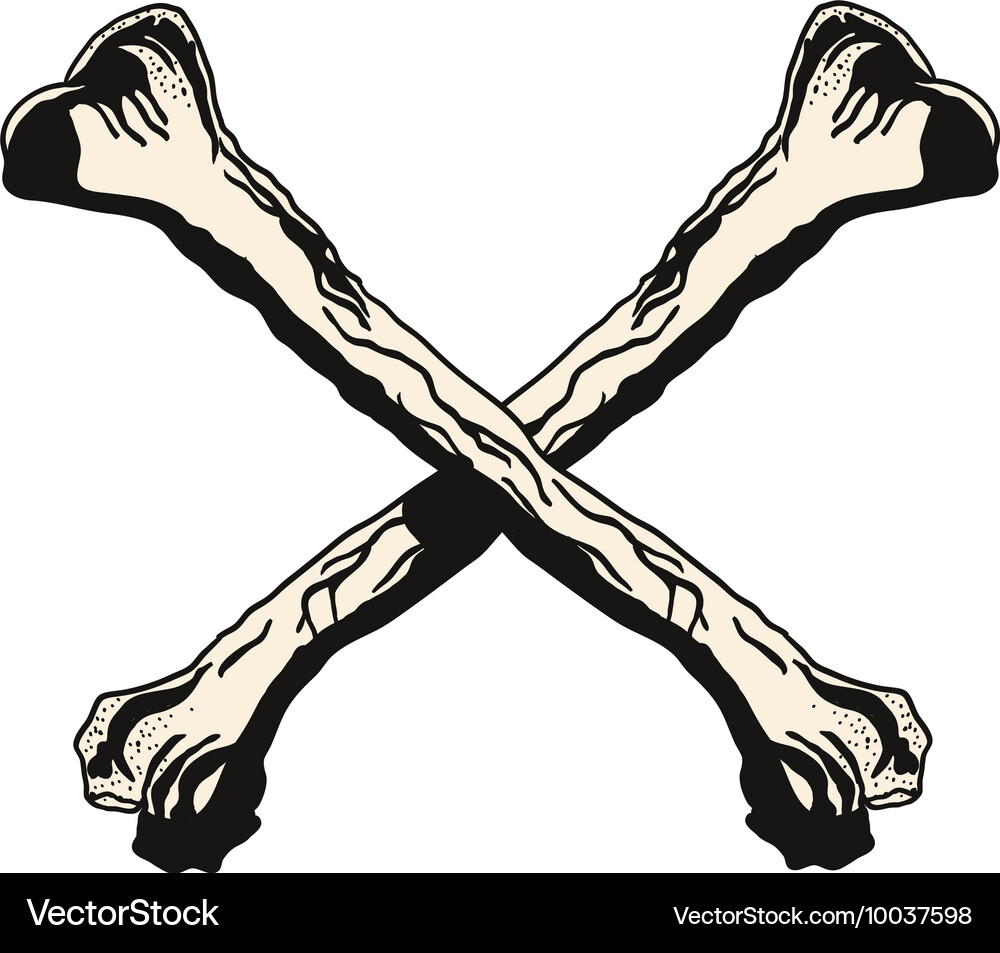 Crossbones Royalty Free Vector Image - VectorStock