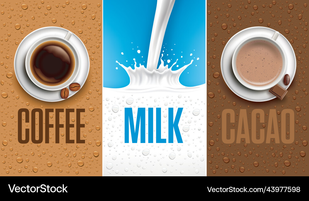 Top view coffee and cocoa cup milk splash Vector Image