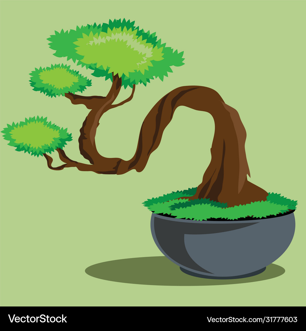 Bonsai in pot on green background Royalty Free Vector Image
