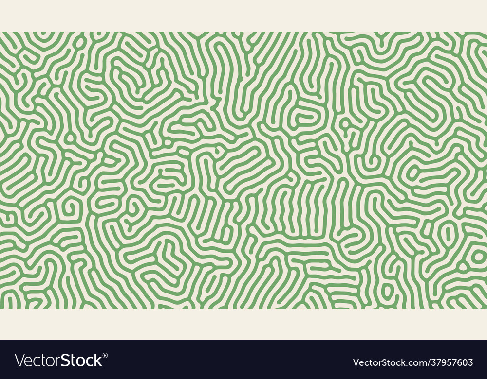 Turing Pattern Structure Oraganic Lines Royalty Free Vector