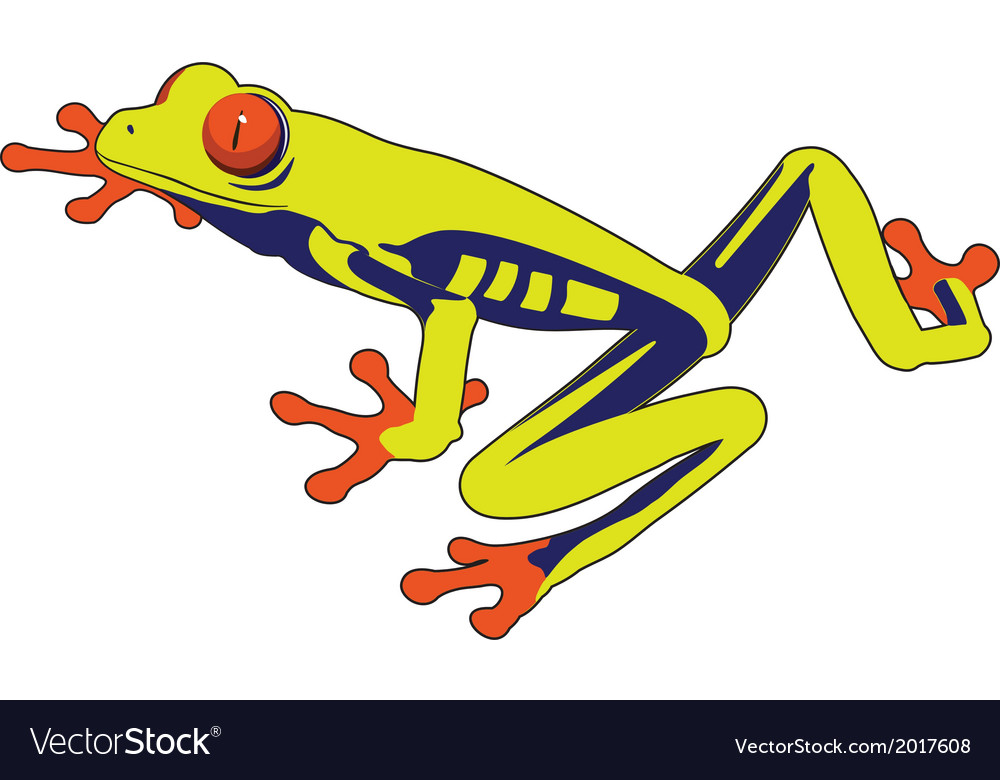 Frog Royalty Free Vector Image - VectorStock
